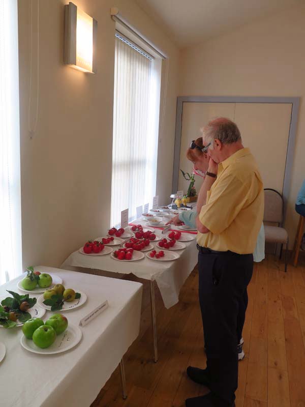 Gallery | Rempstone Village Hall