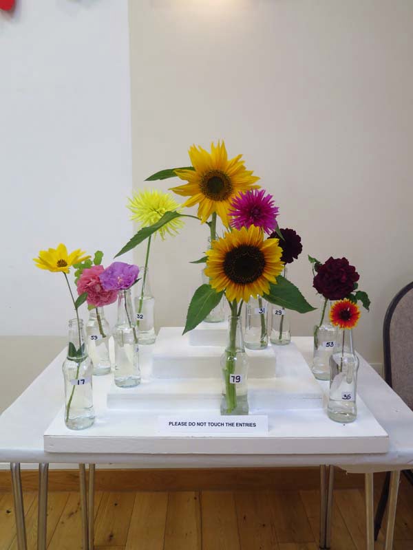 Gallery | Rempstone Village Hall